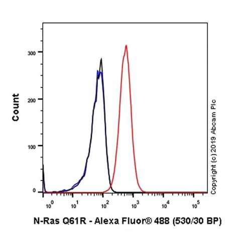 Recombinant Anti Ras Mutated Q61r Antibody Sp174 Ab227658 Abcam
