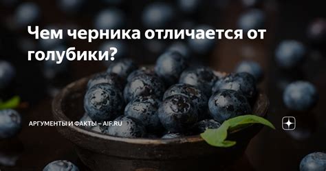 Чем черника отличается от голубики Аргументы и факты Дзен