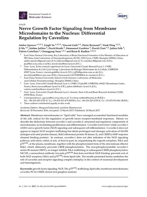 Nerve Growth Factor Signaling From Membrane Microdomains Pdf Cell