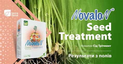 Novalon Seed Treatment - the guarantee of a successful harvest!