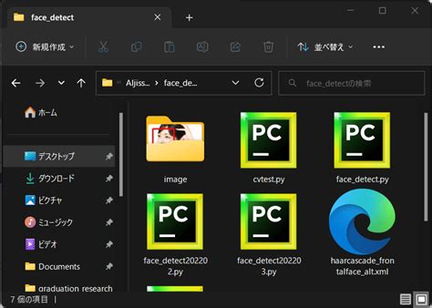【機械学習】pythonでできるリアルタイム顔認識プログラムのサンプル ゼロからゆっくり学習するpythonブログ