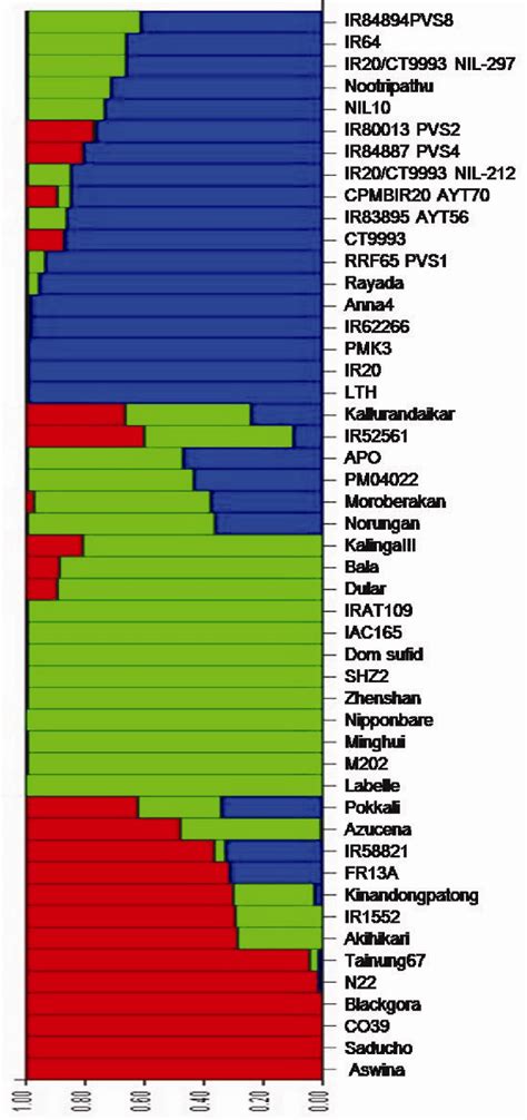 Population Structure Of The 49 Diverse Rice Accessions Using 599