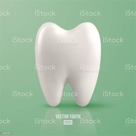 벡터 3d 현실적인 치아입니다 치과 검사 배너 Plackard 녹색 배경에 치아 아이콘 근접 촬영 의료 치과 의사 디자인