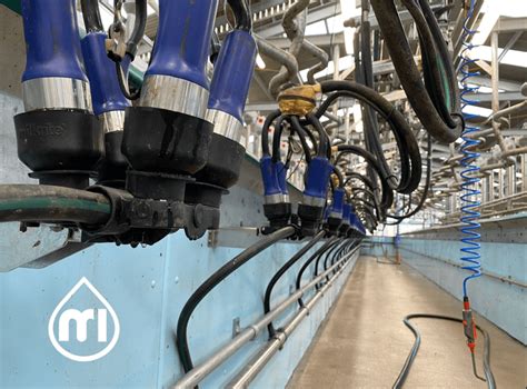 Lavage De Machine à Traire Vandga Lorraine