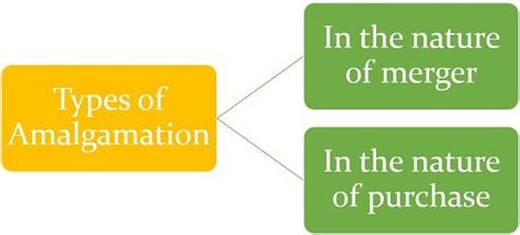 What Is Amalgamation Definition Purpose Types And Purchase