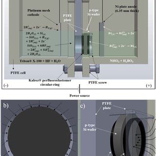 Schematic And Working Mechanism Of The New Cell Design A Schematic Download Scientific