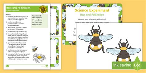 Bee And Pollination Science Experiment Activity Kindergarten