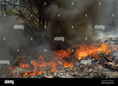 Feuer Und Schwarzer Rauch Brand In Deponien Rauch Im Wald Illegale Deponie Dicker Schwarzer
