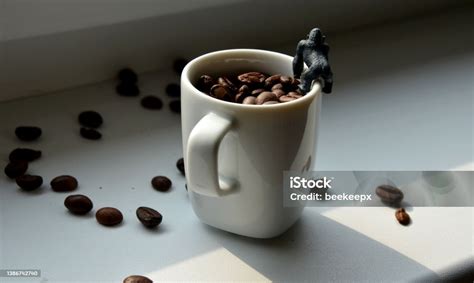 도자기 에스프레소 머그잔에서 마실 때마다 커피 원두 몇 개에 대한 열대 우림을 파괴할 책임이 있습니다 침팬지 고릴라 영장류는 멸종 위기에 처해 있습니다 플라스틱 인형