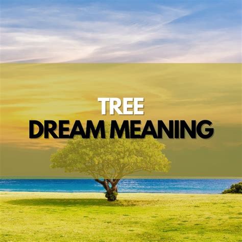 Tree Dream Meaning Symbol Genie