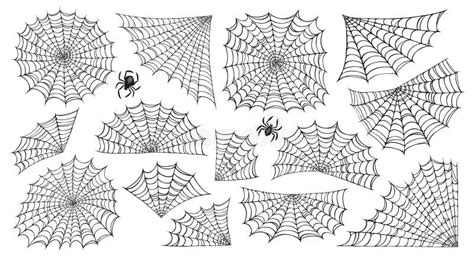 Set Of Varieties Of Web Black Mesh Patterns With Halloween Ornament Sticky Weave Trap And