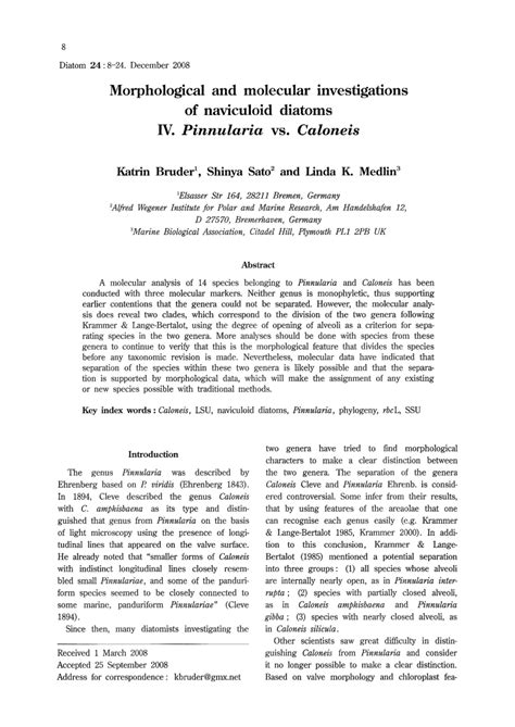 Pdf Morphological And Molecular Investigations Of Naviculoid Diatoms