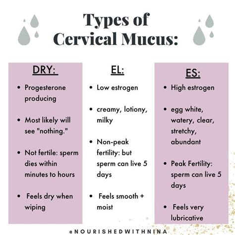 Identifying Cervical Mucus With Fertility Awareness Method Artofit