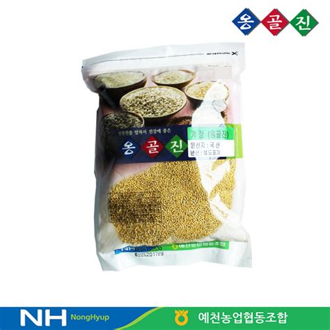 예천농협 옹골진 국내산 잡곡 기장 500g 홈플러스 택배배송