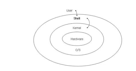 Linux 쉘 스크립트 종류 Linux 쉘 스크립트 종류