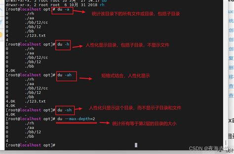 Linux命令讲解三 CSDN博客