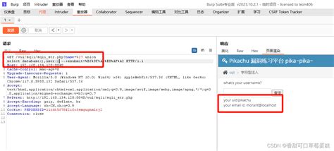 pikachu 靶场 sql 注入通关解析 pikachusql注入闯关 csdn博客