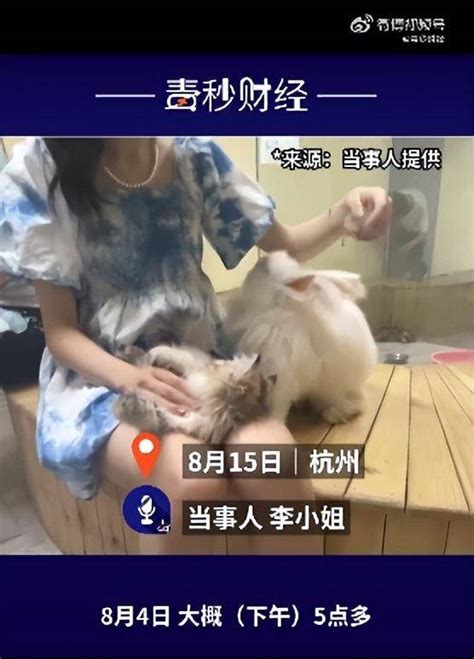 女子称在撸宠店喂猫被猪咬伤，“突然冲来咬一口”，商家拒绝赔偿，店员：如果你没去弄它，它为什么会咬你？疫苗李小姐网友