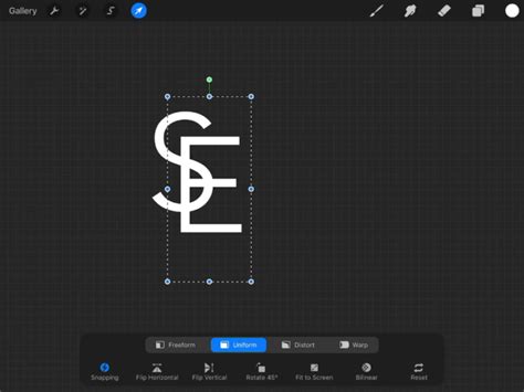 How To Design A Logo With Procreate Logos By Nick