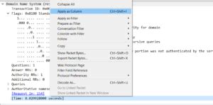 Troubleshooting Dns With Wireshark Network Houdini