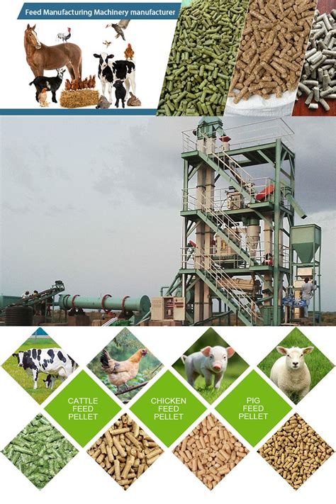 Complete Poultry Livestock Feed Pellet Production Line Artofit
