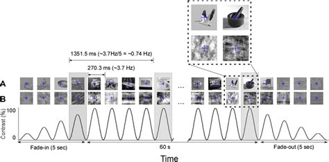 Fast Periodic Visual Stimulation Using Non Tool And Tool Images A And Download Scientific