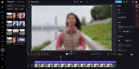 How To Add Video Blur Effects Effortlessly With Trendy Ways