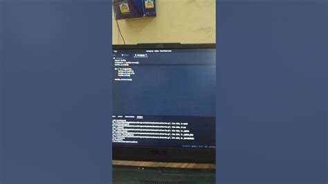 Amazing Turtle Code For Python Coder Youtube