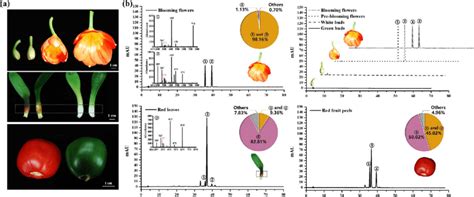 Anthocyanin Accumulation Profiles In F Loral Developmental Stages And