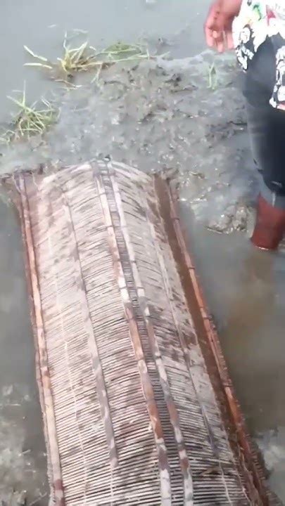 এতো মাছ মাছ ধরার দৃশ্য গ্রাম বাংলার ঐতিহ্য দেশি মাছ ধরার কৌশল