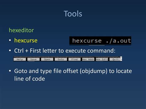 Exploitation Part Ppt Download