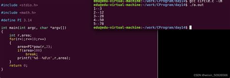 C语言辅助控制语句 Csdn博客