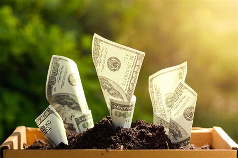 Compounded Returns On Your Money Invested It Matters Wma Property