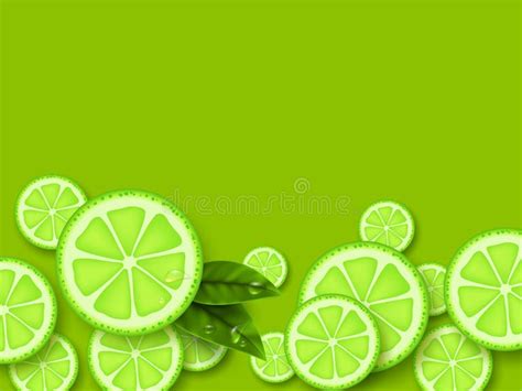 Limes Leaves Stock Illustrations 684 Limes Leaves Stock Illustrations