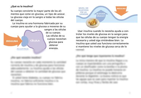 SOLUTION Introduccion A La Insulina Studypool