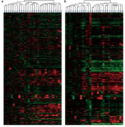 Independent Component Analysis Of Microarray Data In The Study Of Endometrial Cancer Oncogene