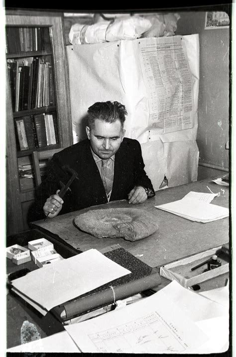 Фото В Геологическом институте Академии наук СССР 1950 е г Москва