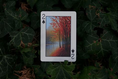 Limited Edition Geo Playing Cards Natures Wonders In Your Hands