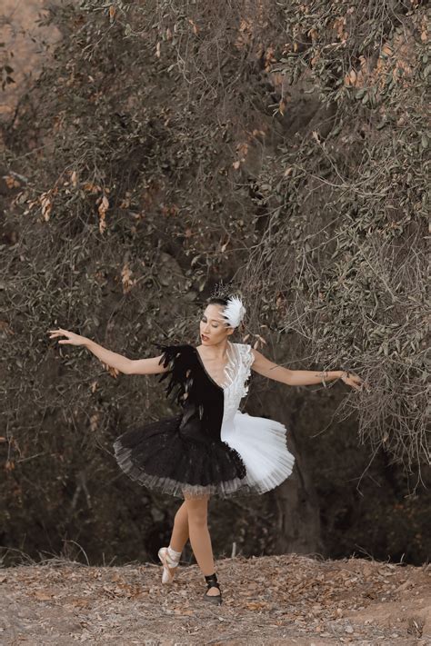 Black Swan Halloween Costume Diy — Amanda N Hammond