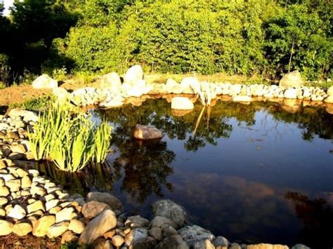 Preformed Garden Ponds Australia Fasci Garden