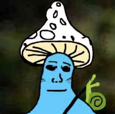 Шайлушай Shroomjak Smurf Cat Шайлушай Know Your Meme