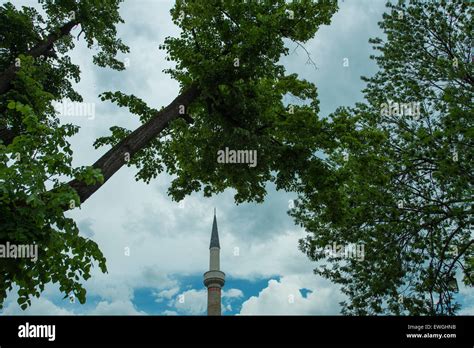 a minaret between the trees Stock Photo - Alamy