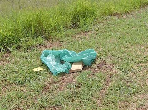 G1 Cerca De 88 Toneladas De Lixo São Recolhidas Por Mês Na Br 163 Em