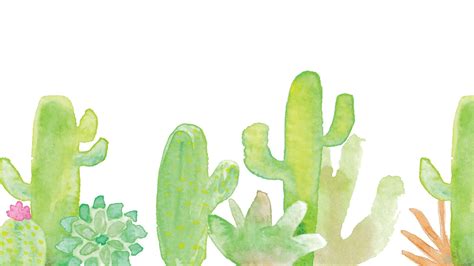 Cute Cactus Desktop Wallpapers Top Free Cute Cactus Desktop