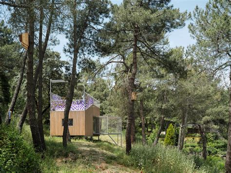 Husos Architects Creates Love Shack Cabin As Founders Home And Office