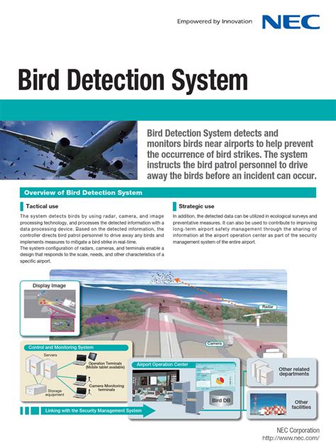 Birddetectionsystem Pdf Radar Airport