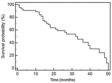 Primary Peritoneal Carcinoma Survival Statistics