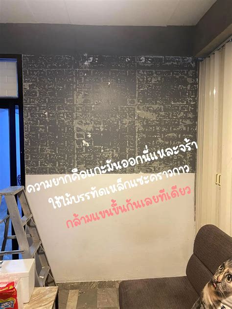 ซ่อมผนังพังๆจากแมว ด้วยงบ 200 บาท ทำเองง่ายๆ แกลเลอรีที่โพสต์โดย มาแต่งบ้านกัน Lemon8