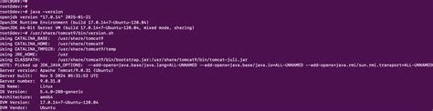 Migration Towards DHIS2 41 Java Tomcat Version Compatibility Support Assistance Technique