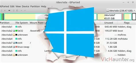 Cómo leer particiones de Linux en Windows 10 VicHaunter org